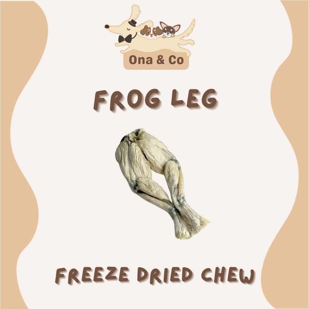 Freeze Dried Frog Leg – ONA & CO
