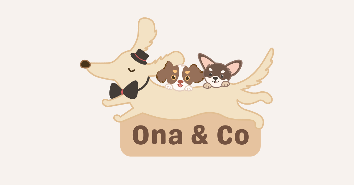 About us – ONA & CO